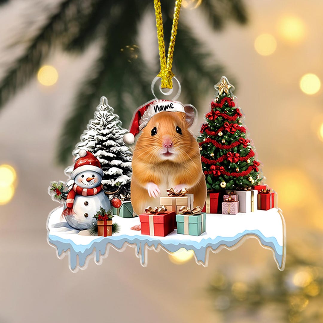 Personalized Hamster Christmas Ornament, Custom Pet Ornament With Santa ...