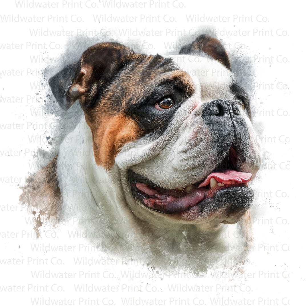 Bulldog Watercolor Clip Art – Realistic English Bulldog PNG – Detailed ...