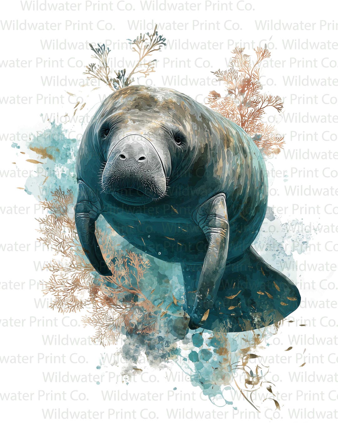 Manatee Watercolor Clip Art – Gentle Sea Cow Illustration PNG – Ocean ...