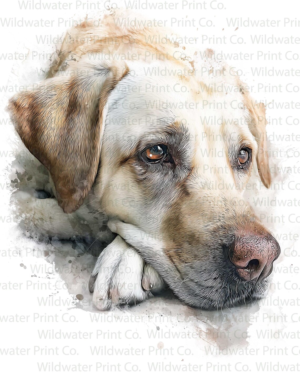Yellow Labrador Watercolor Clip Art – Realistic Yellow Lab Dog Portrait ...