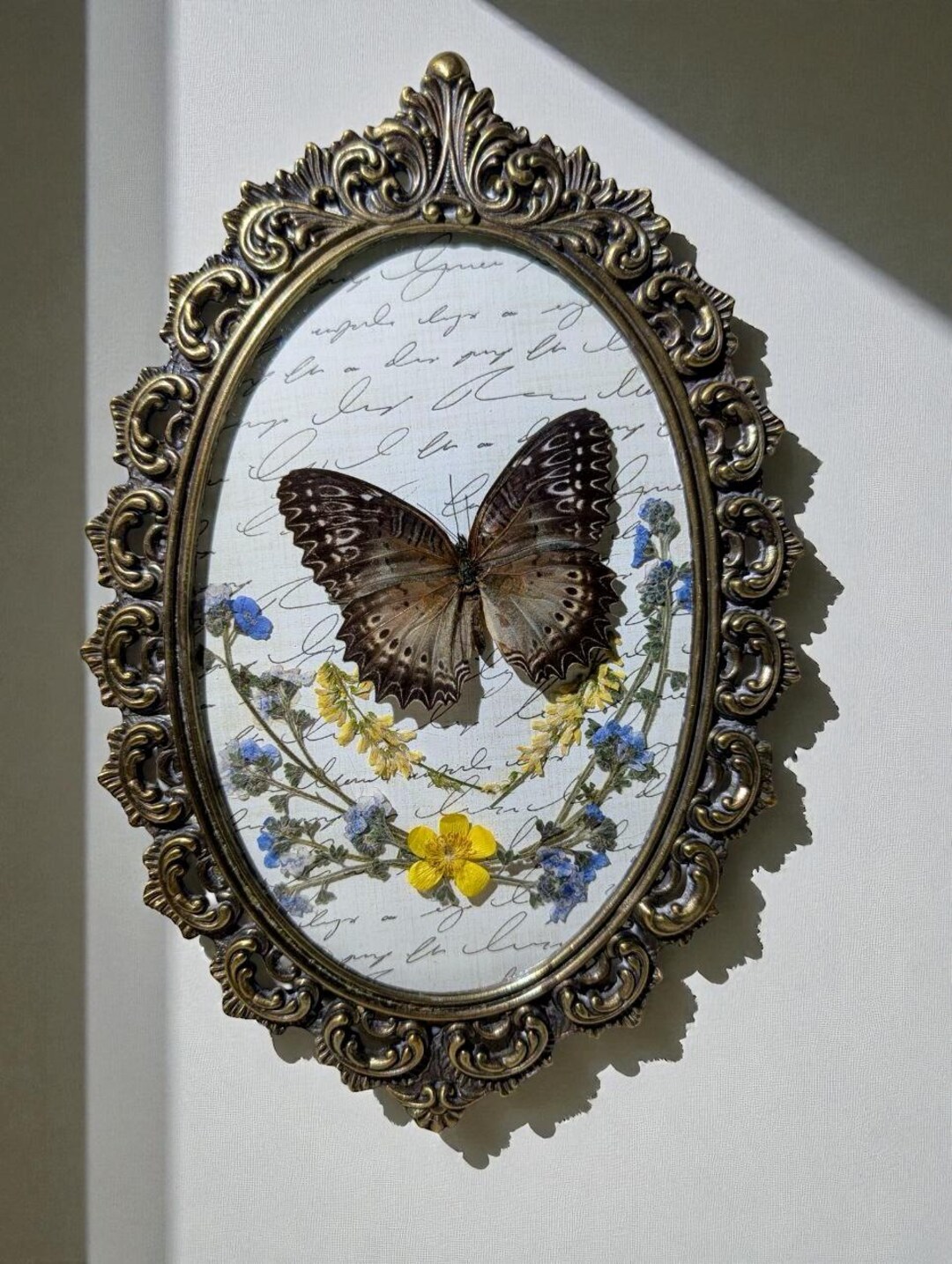 Framed Butterfly Wall Art | Real Insect & Pressed Flower Display ...