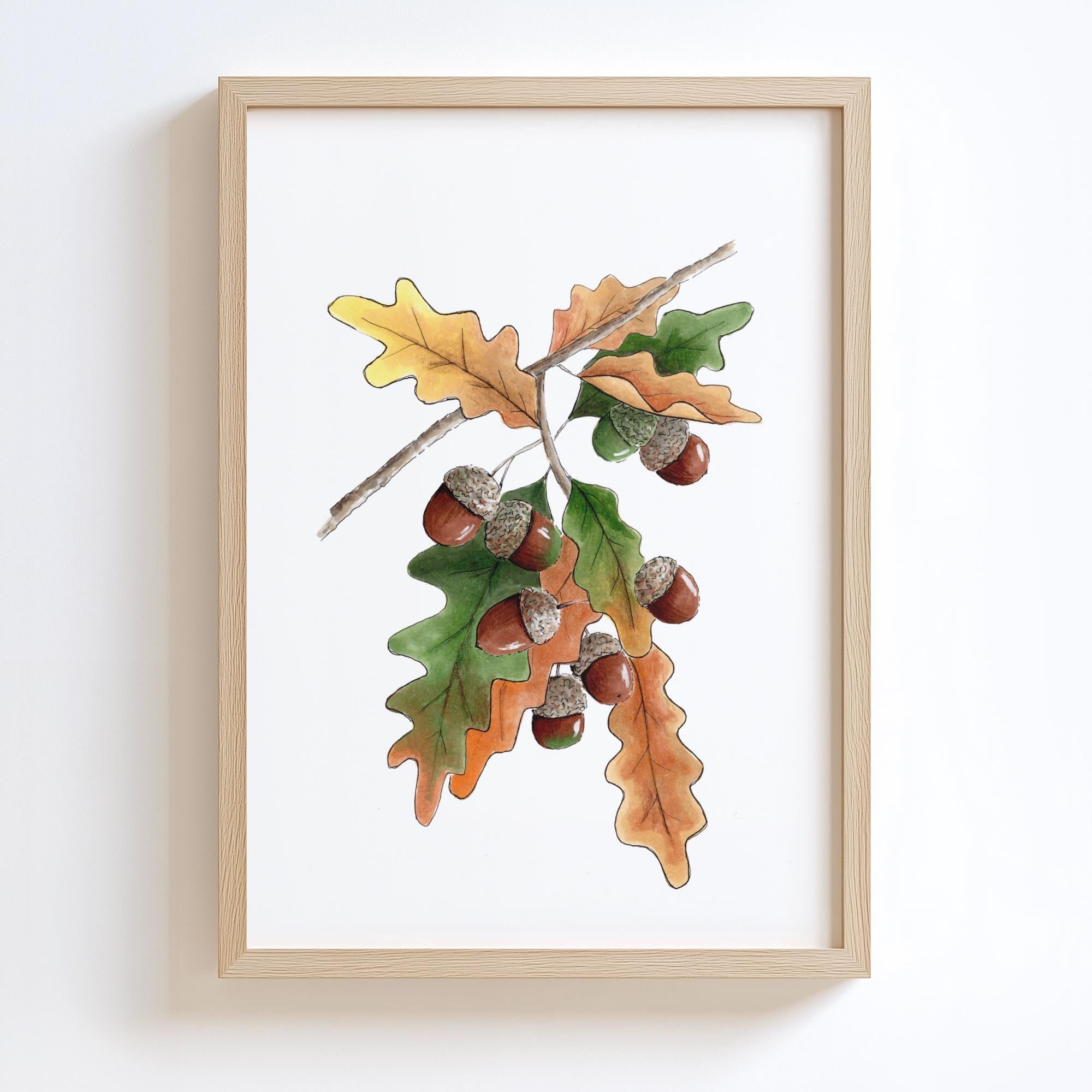 Oak Leaves and Acorns Wall Art – Hand-drawn Botanical Illustration ...