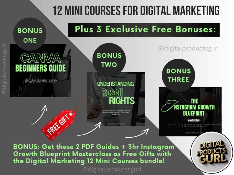 Lot de 12 mini-cours de marketing numérique avec droits de revente principaux DPP et MRR ...