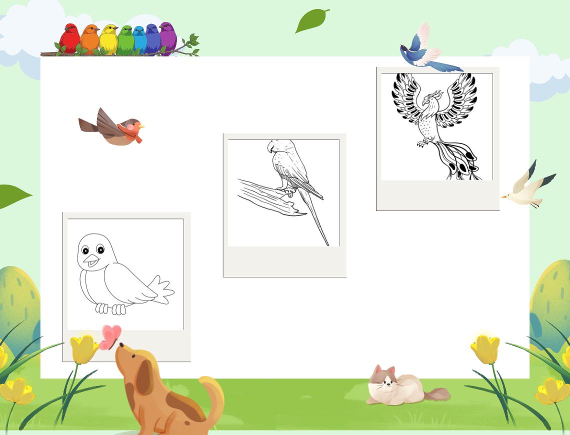 Birds Coloring Pages | Printable Animal Coloring Book for Kids | Fun ...