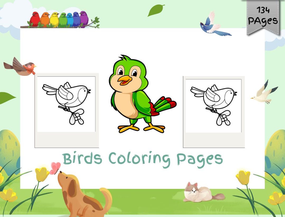 Birds Coloring Pages | Printable Animal Coloring Book for Kids | Fun ...