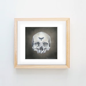 Omen Skull Digital Download | Anatomy Wall Art | Skeleton Decor - Etsy
