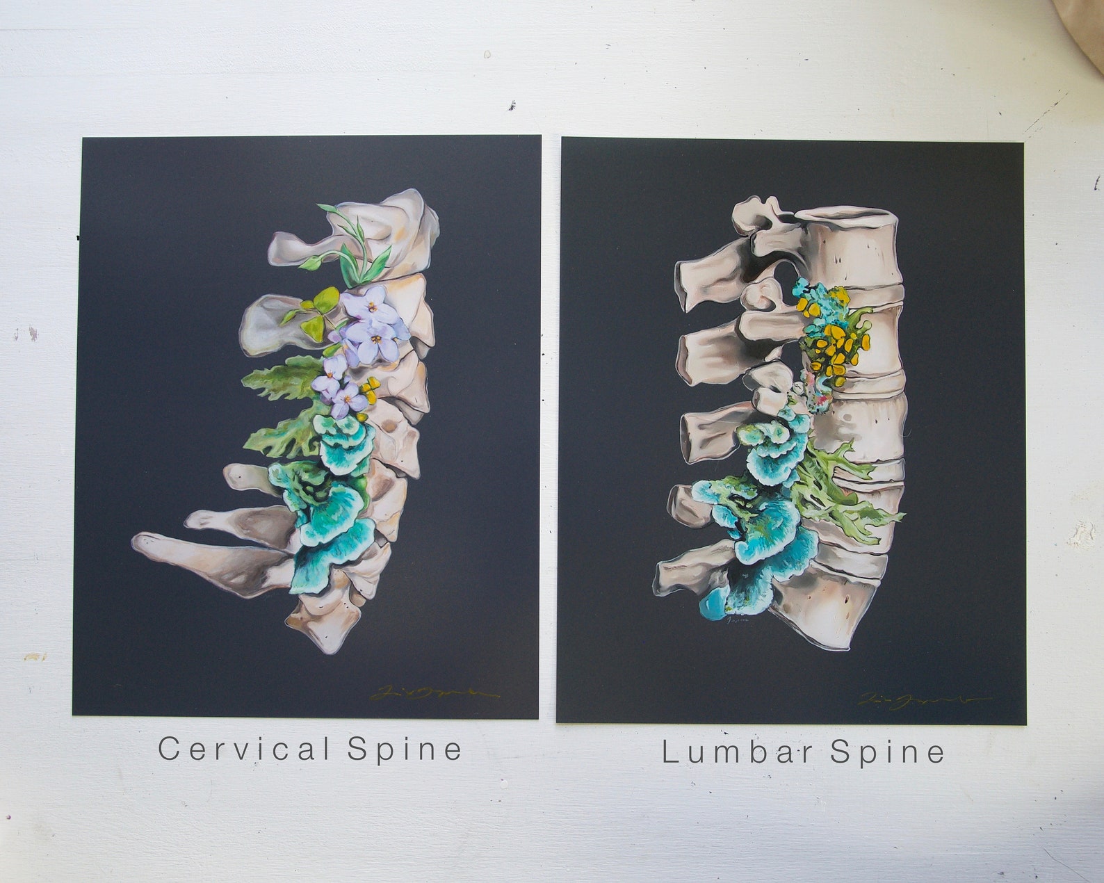 Floral Cervical Spine Vertebrae Print of Oil Painting | Etsy