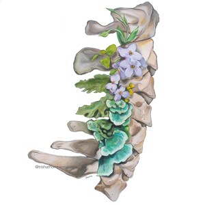 Floral Cervical Spine White Vertebrae Print of Oil Painting ...