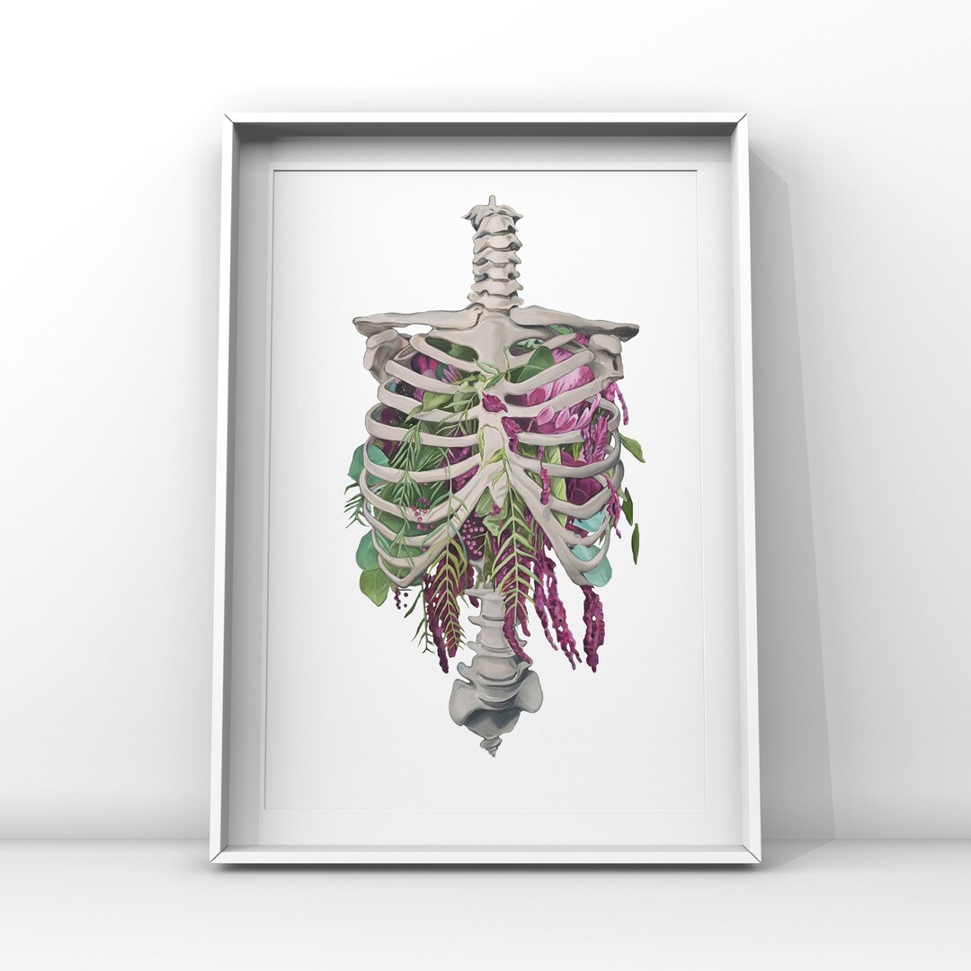 Floral Thoracic Cage White- Anatomy Print of Oil Painting - Anatomical ...