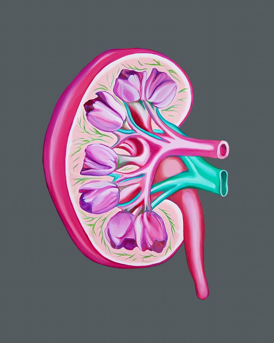 Floral Kidney Charity Bundle Anatomical Art Prints Human - Etsy