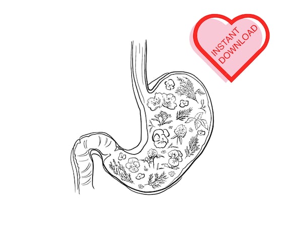 Floral Stomach Digital Download Tattoo Anatomical Instant Art - Etsy