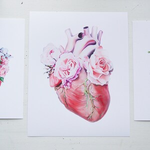 Floral Anatomy Art Print Gift Set - Anatomical Art Prints - Human Body ...