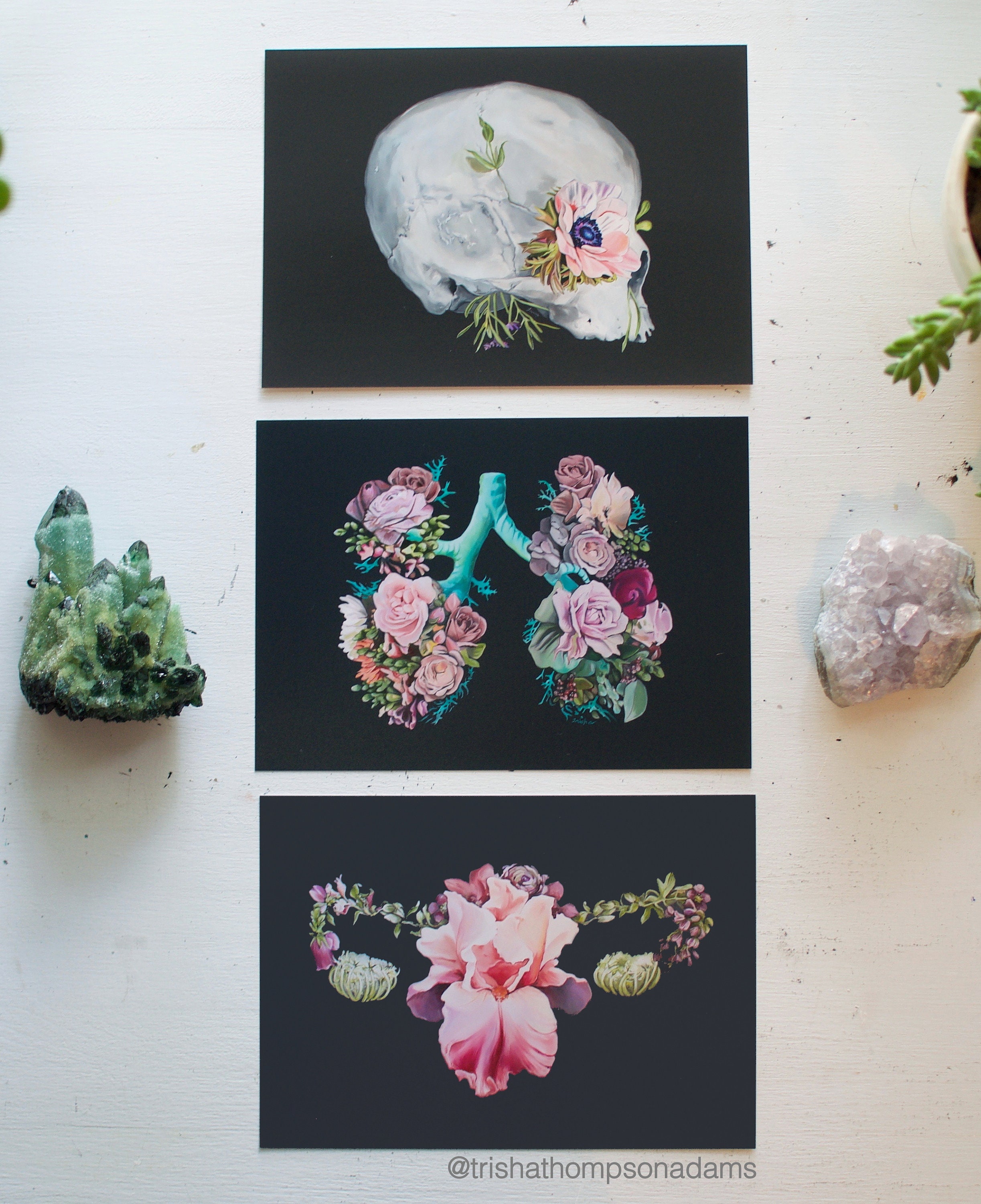 You Choose 3 Print Bundle Anatomical Art Prints Human Body | Etsy