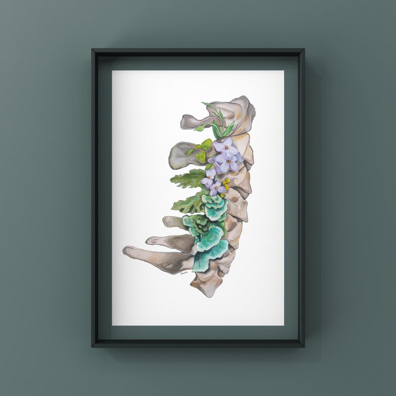 Floral Cervical Spine White Vertebrae Print of Oil Painting - Etsy