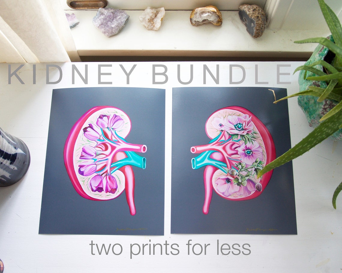 Floral Kidney Charity Bundle Anatomical Art Prints Human - Etsy