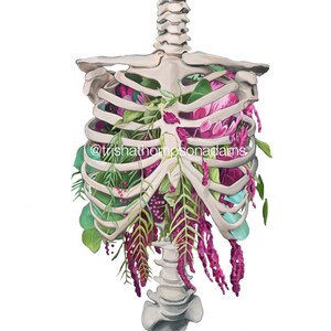 Tattoo/digital Download Floral Thoracic Cage Anatomy Art - Etsy