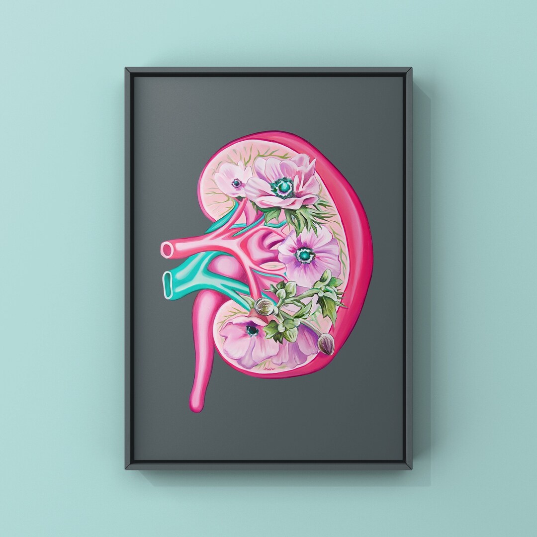 Floral Kidney Transplant Print - Anatomical Art - Human Body - Medical ...