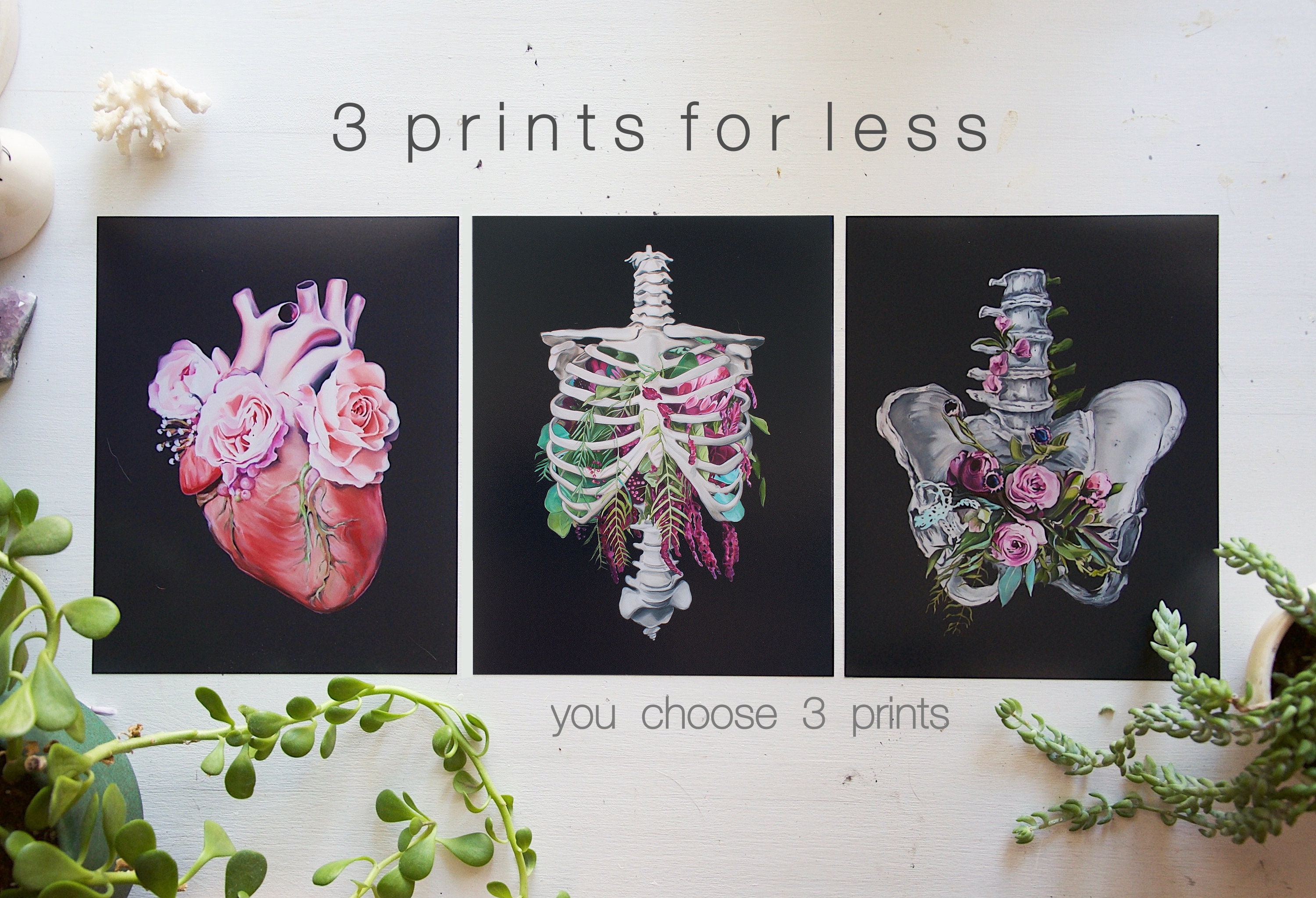 You Choose 3 Print Bundle Anatomical Art Prints Human Body | Etsy