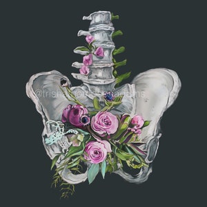 Floral Pelvis Anatomical Art Print - Pelvic Floor With Flowers, Medical ...