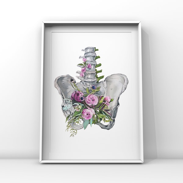 Pelvis - Etsy