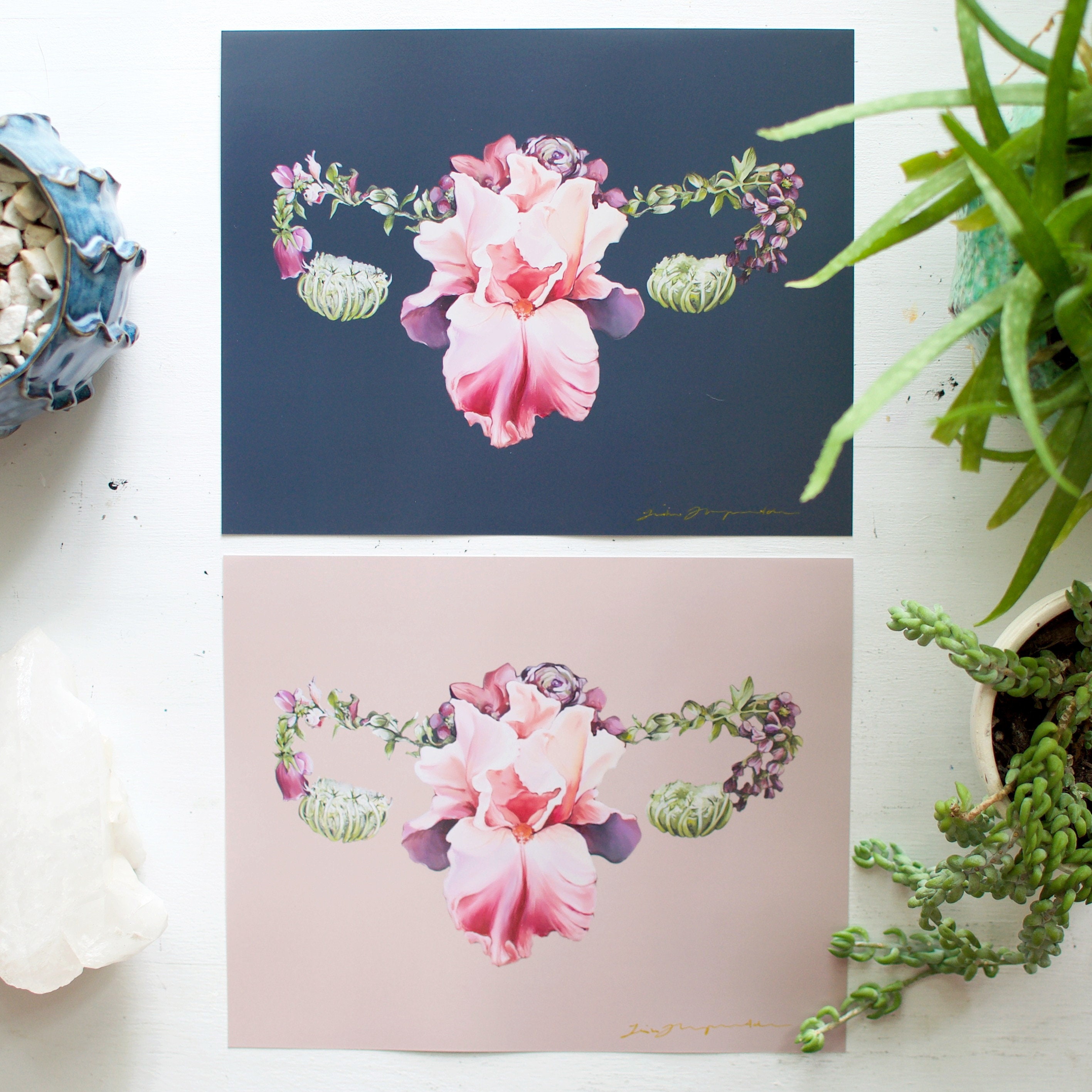 Uterus Wall Art Print: Uterus Flowers Female Anatomy Art - Etsy