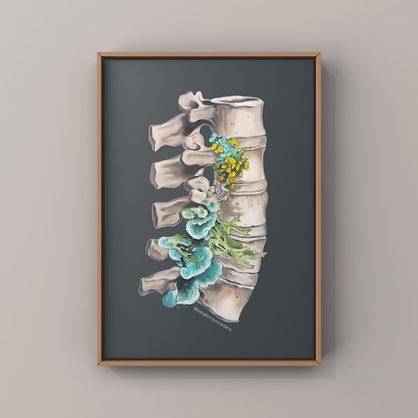Spine Art - Etsy