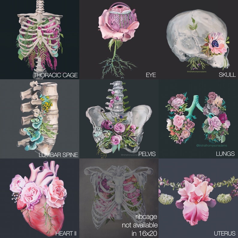 16x20 Inch Print of Your Choice Trisha Thompson Adams Art | Etsy