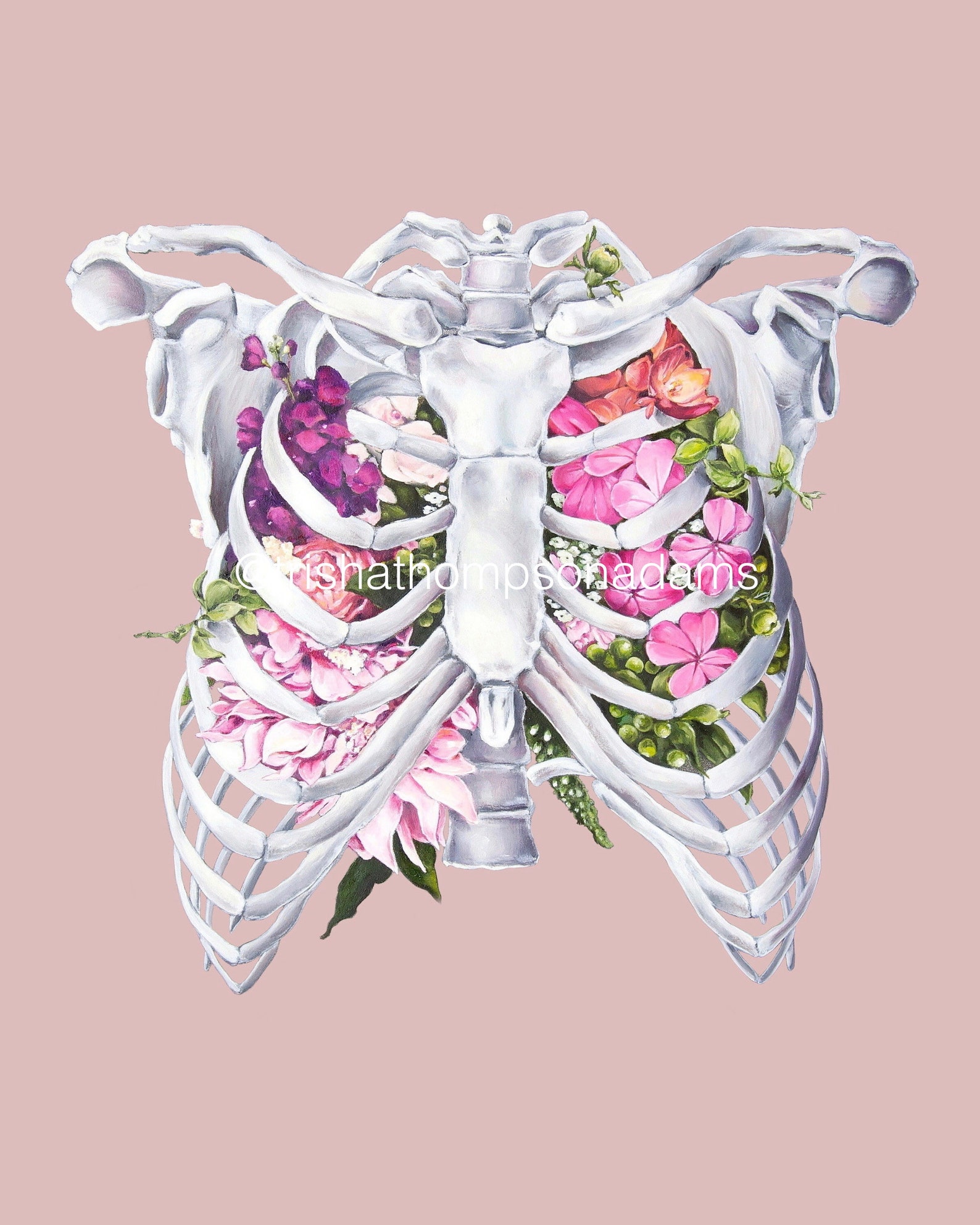 Floral Ribcage Pink Background Print of Oil Painting - Anatomical Art ...