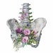 Tattoo/digital Download Floral Pelvis Anatomy Art - Etsy