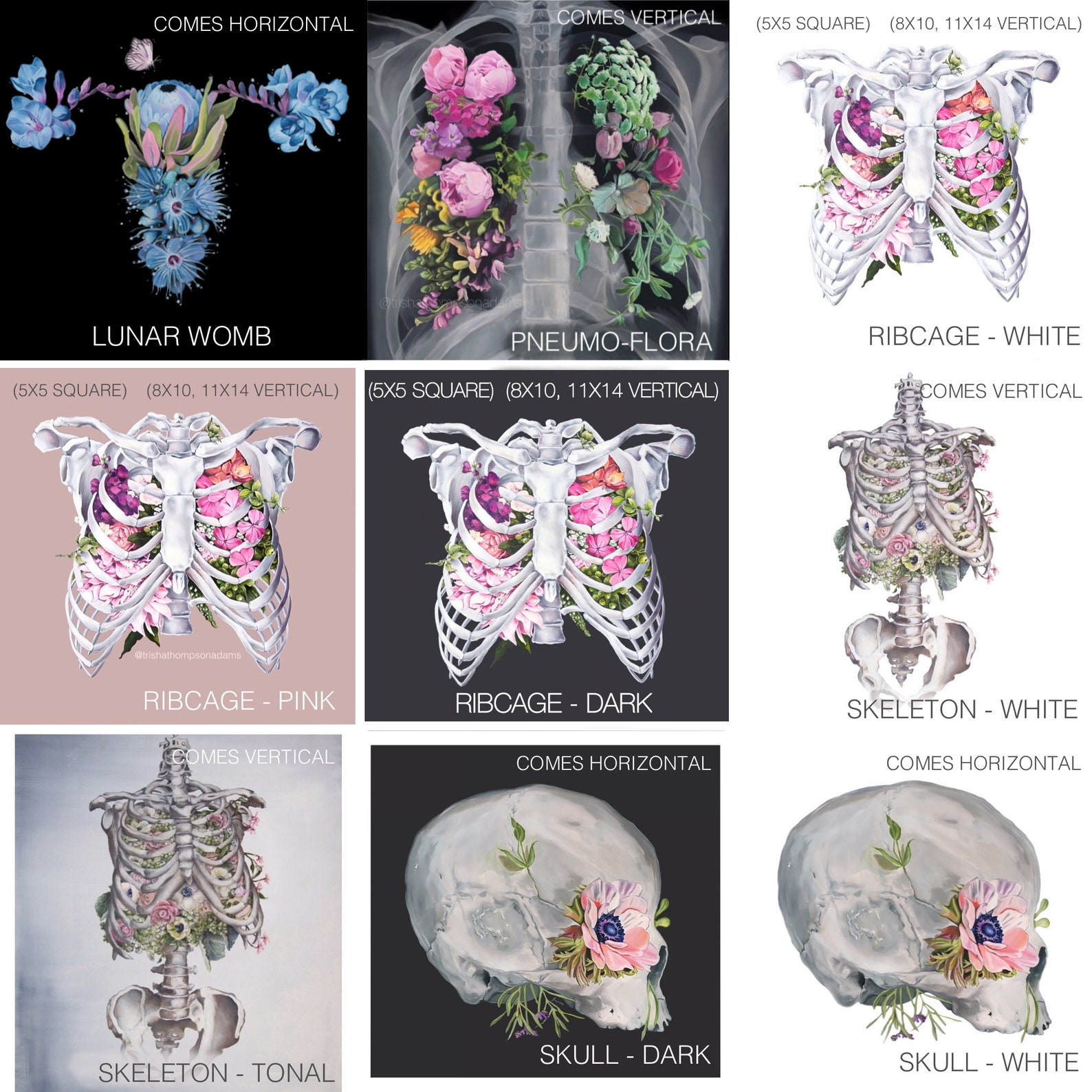 You Choose 3 Print Bundle Anatomical Art Prints Human Body - Etsy