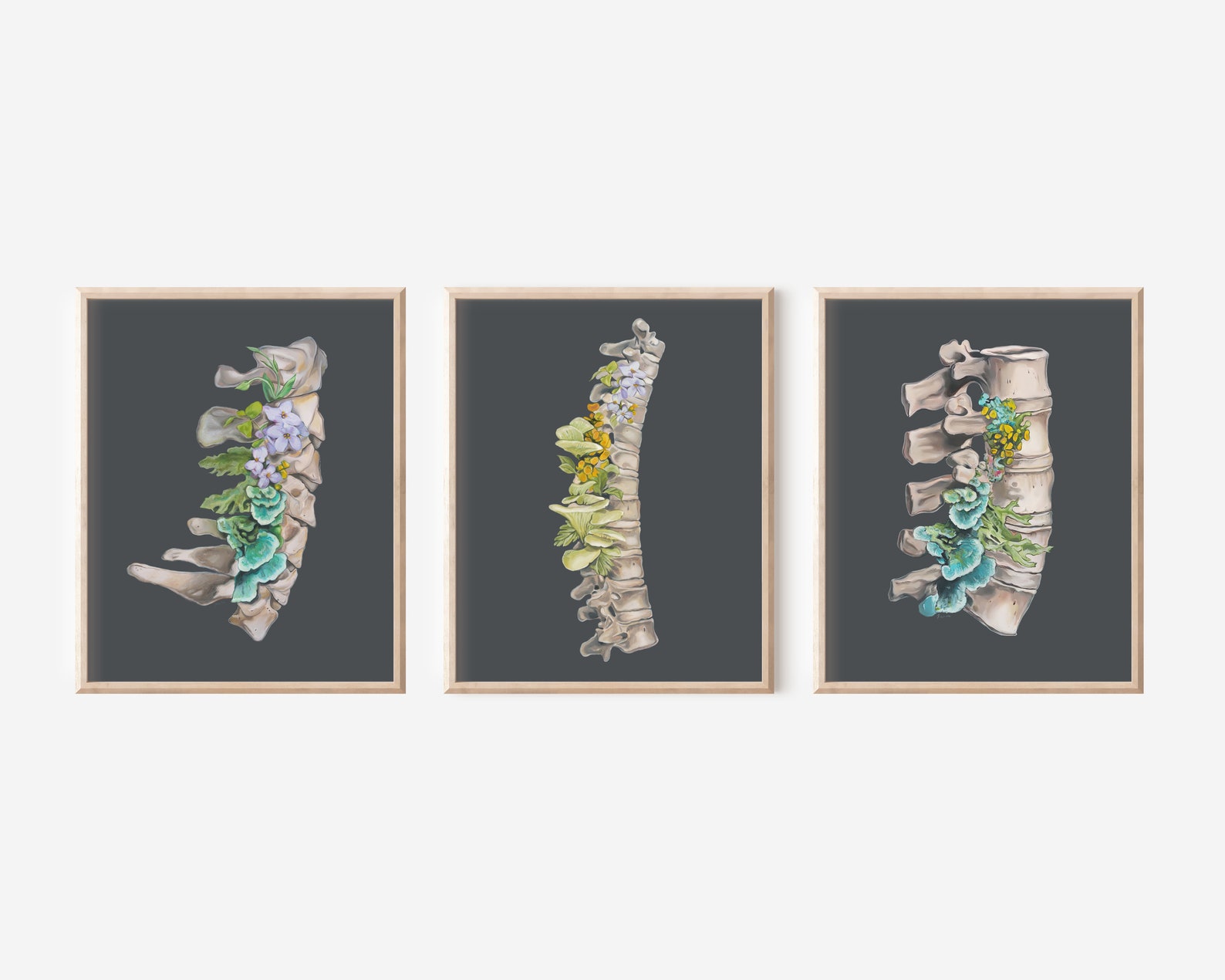 3 Print Spinal Gift Set - Cervical Thoracic and Lumbar Spine ...