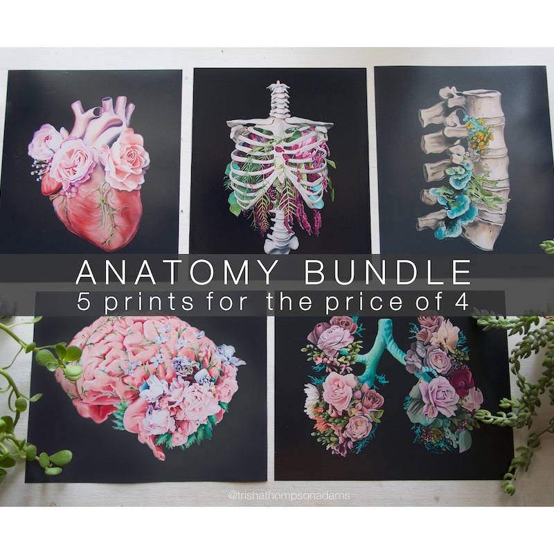 Medical Art - Etsy