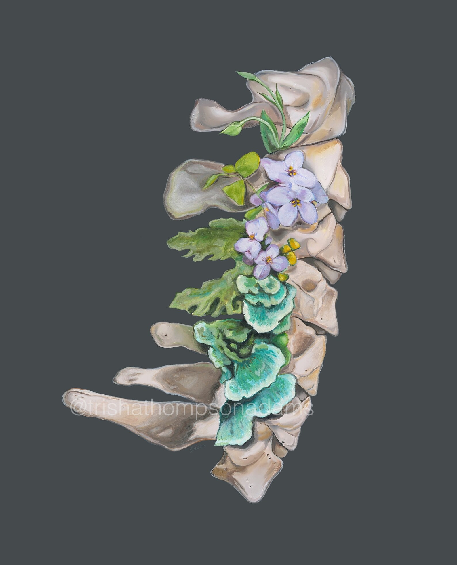 Floral Cervical Spine Vertebrae Print of Oil Painting - Anatomical Art ...