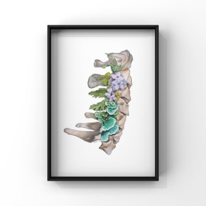 Floral Cervical Spine White Vertebrae Print of Oil Painting ...
