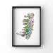 Floral Cervical Spine White Vertebrae Print of Oil Painting Anatomical ...