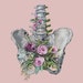 Floral Pelvis Print of Oil Painting Anatomical Art Print Human Body ...