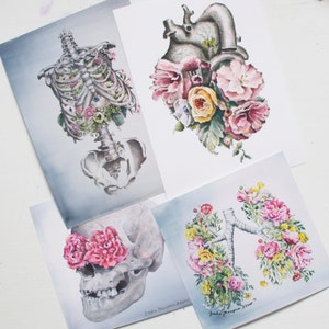 Floral Anatomy: Skeleton Print of Oil Painting - Anatomical Art Print ...