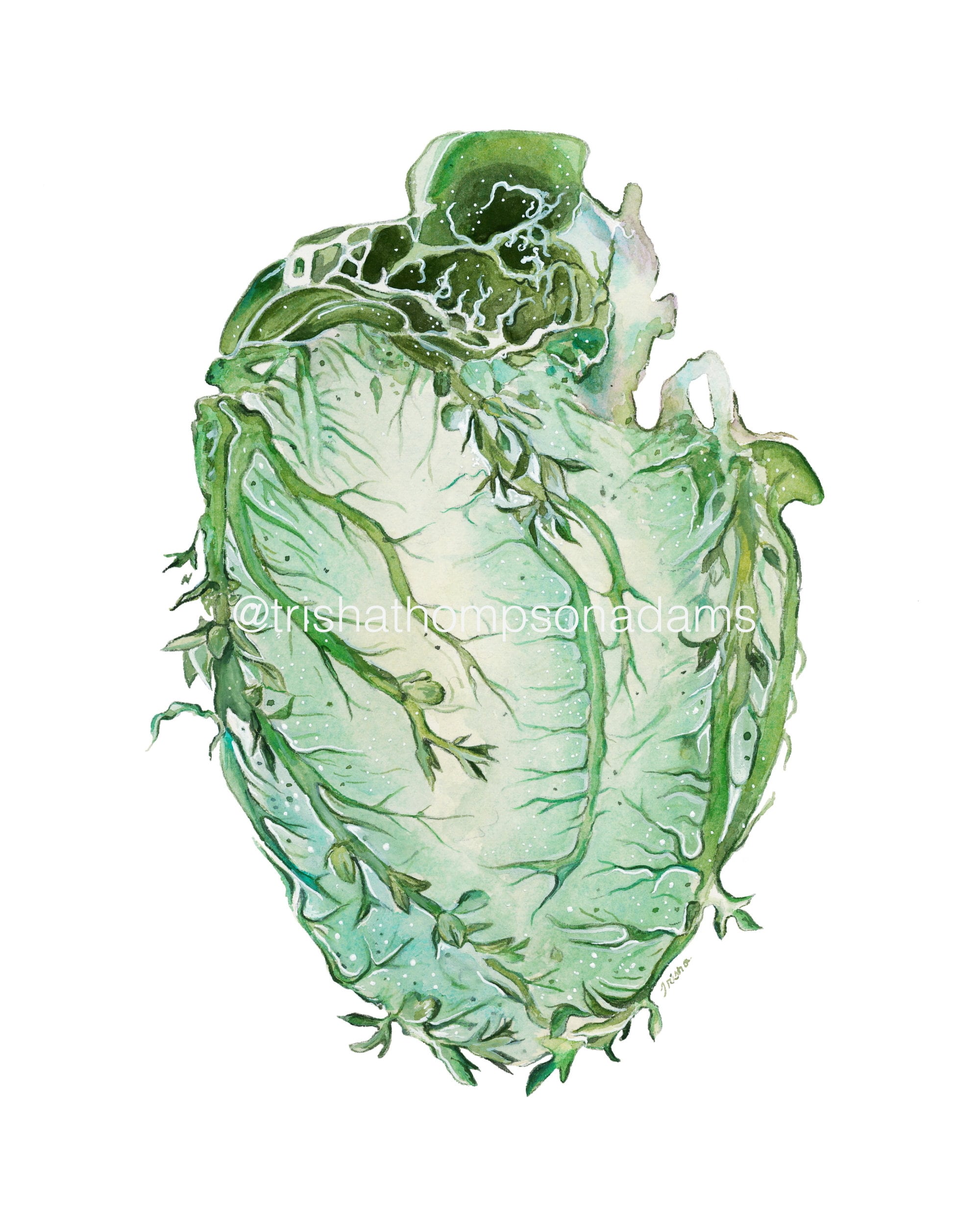Vine Heart Botanical Anatomy Print of Oil Painting - Anatomical Art ...