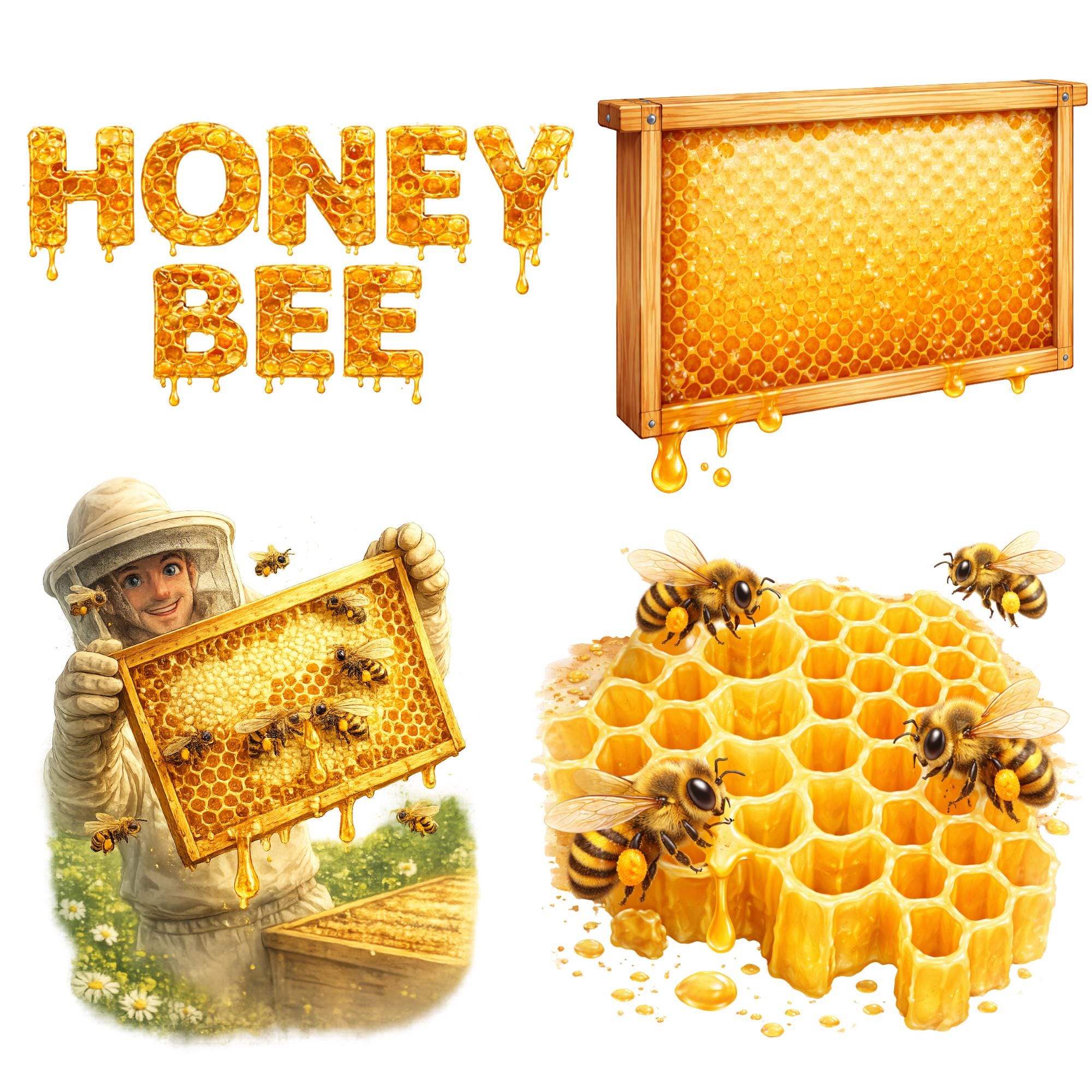Honey Bee Clip Art Set | Beekeeping and Honey Illustration PNG ...