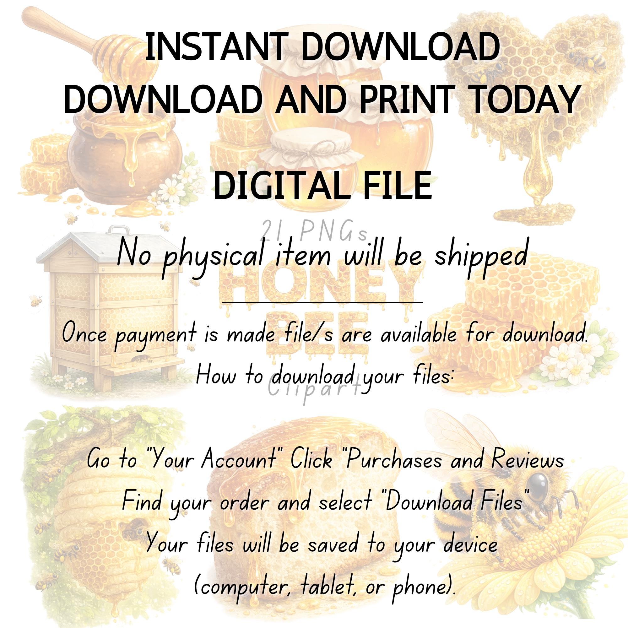Honey Bee Clip Art Set | Beekeeping and Honey Illustration PNG ...