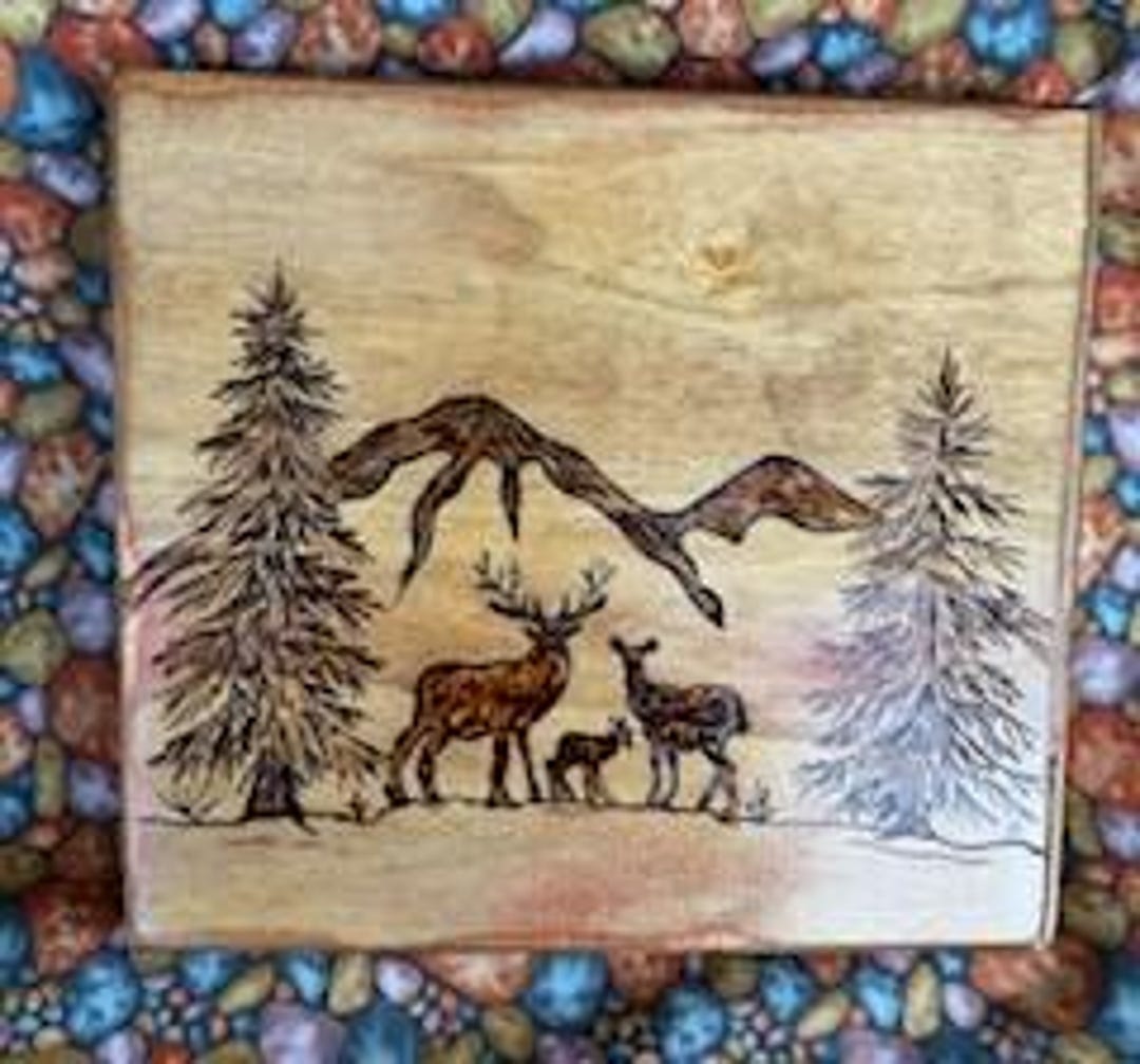 Recycled Cigar Box With Unique Wood Burned Design. - Etsy