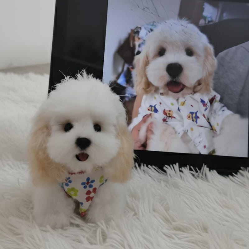 Plush Essa Custom - Etsy