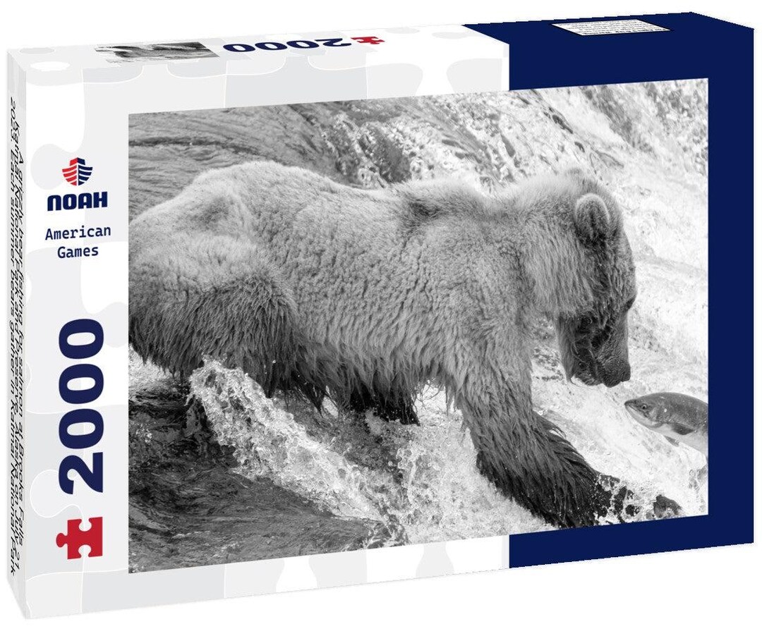 Noah Jigsaw Puzzle A Grizzly Bear Fishing for Salmon at Brooks Falls ...