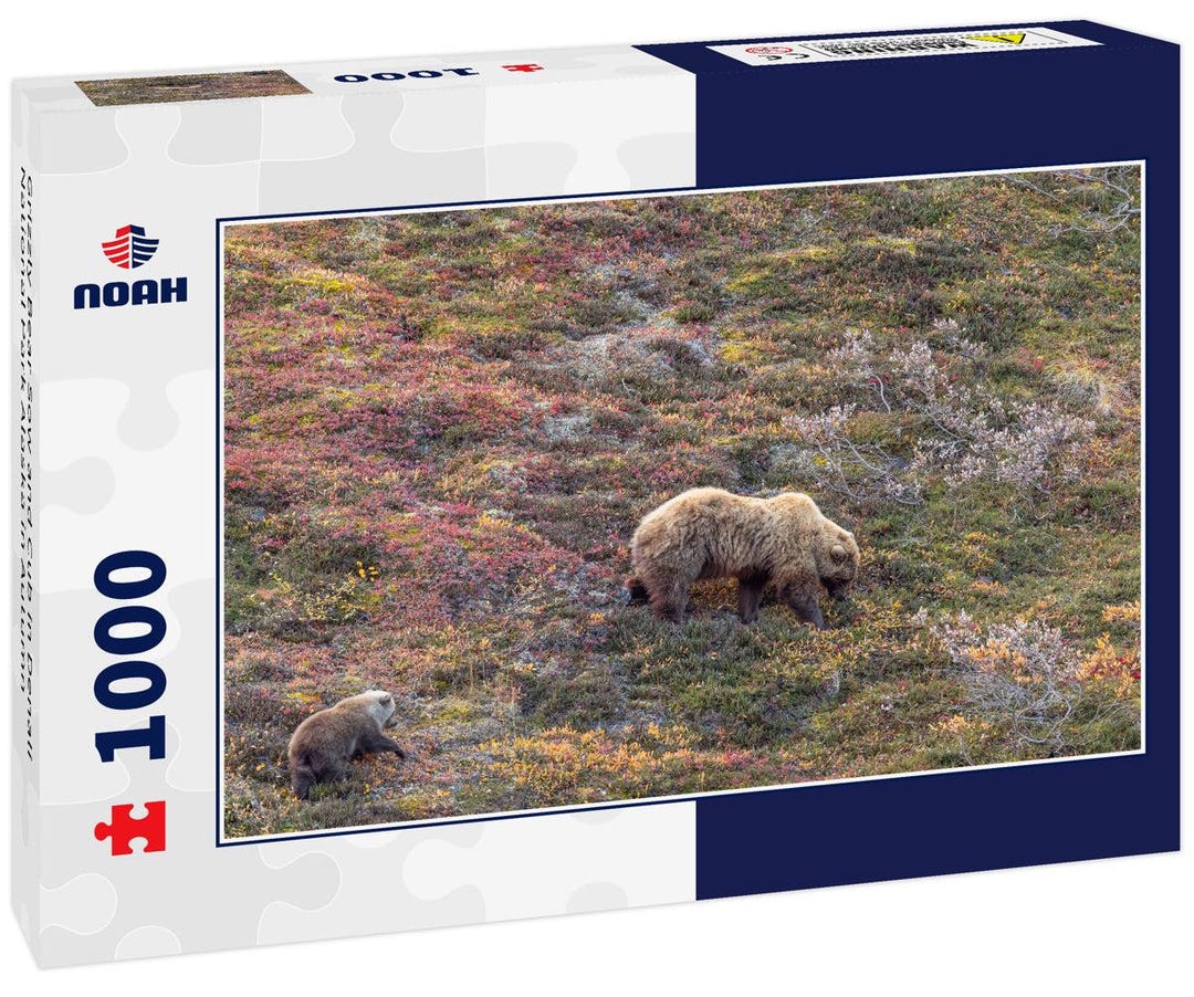 Noah Jigsaw Puzzle Grizzly Bear Sow and Cub in Denali National Park ...