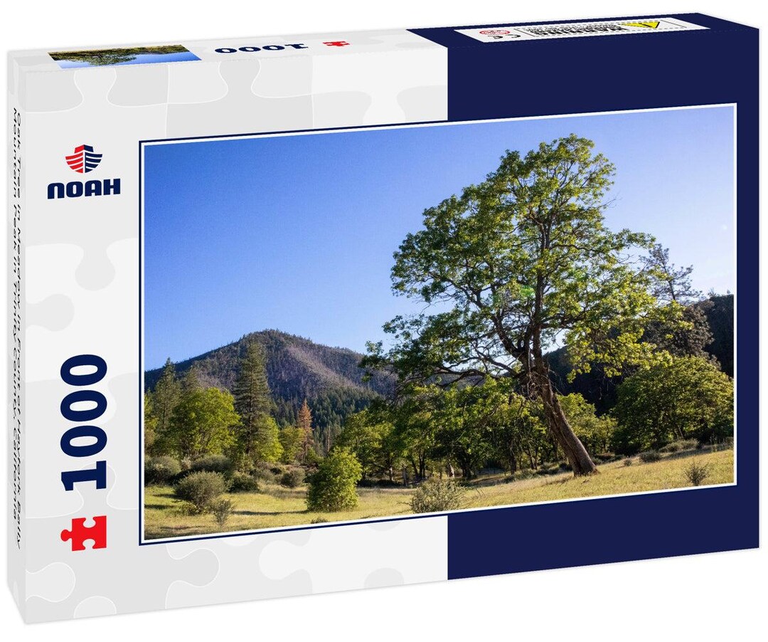 Noah Jigsaw Puzzle Oak Tree in Meadow in Front of Hayfork Bally ...