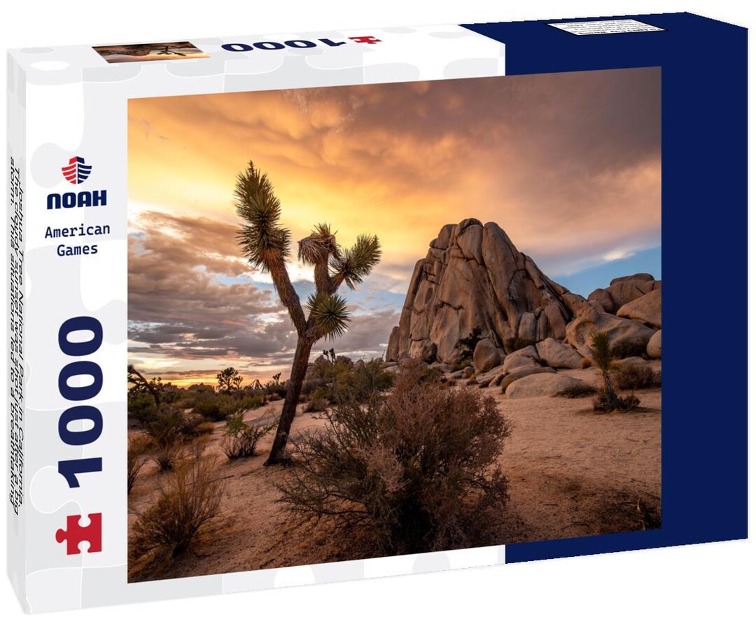 Joshua Tree National Park in California. the Cloudy Sunset Was Shot ...
