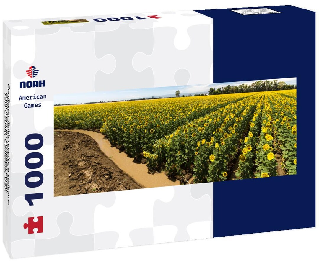 Noah Jigsaw Puzzle Sunflower Fields Receive a Welcome Drink From an ...
