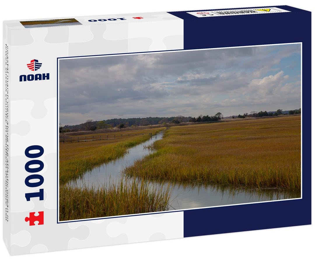 Noah Jigsaw Puzzle Coastal Marsh View Along the Atlantic Ocean in Lewes ...