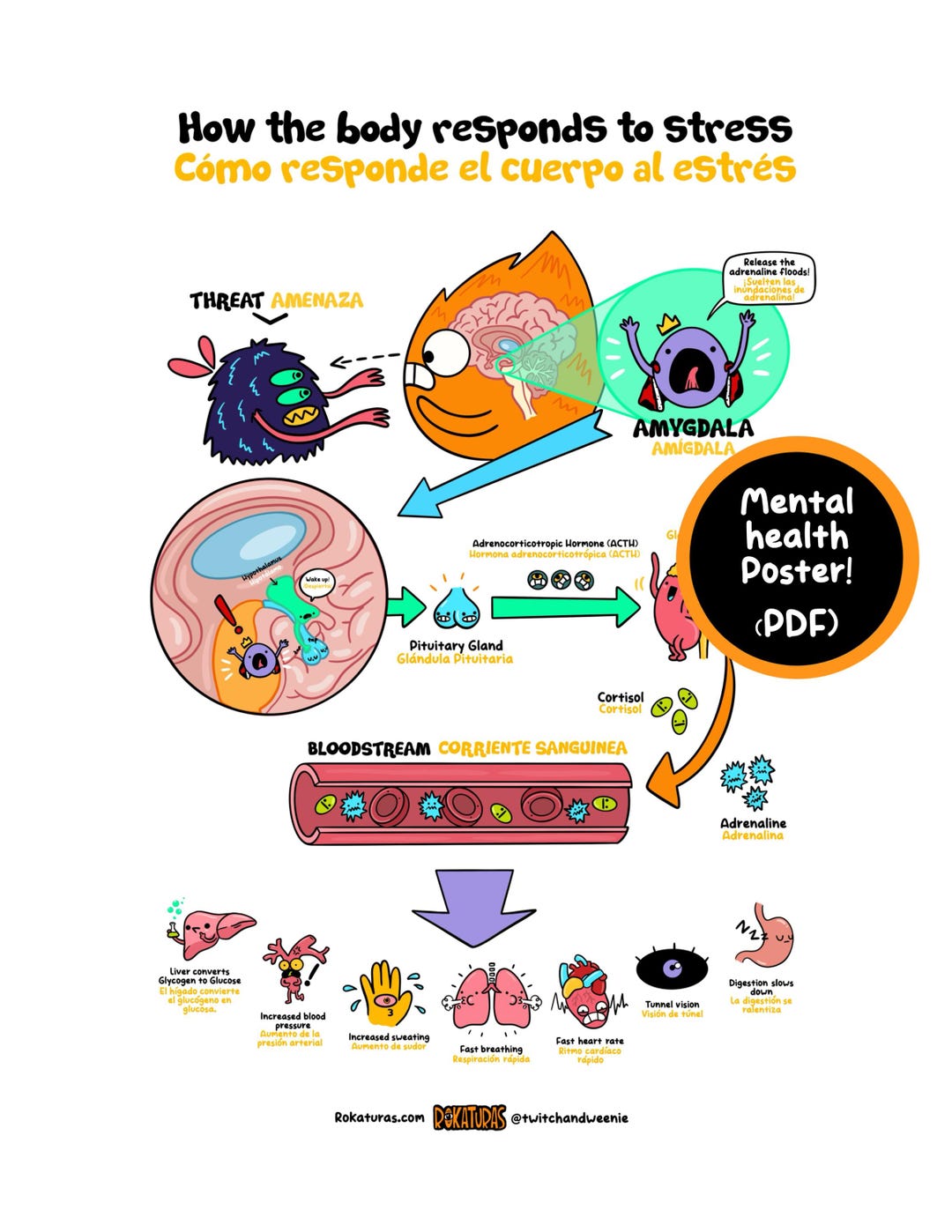 How the Body Responds to Stress Poster: Therapy Office, Classroom Decor ...