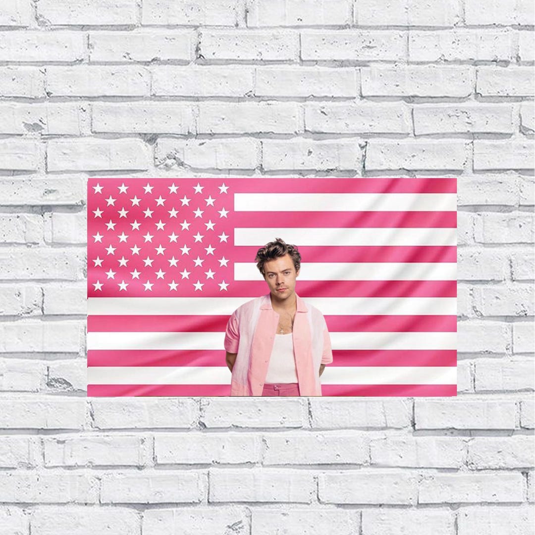 Pink American Flag Harry Styles Tapestry – Pop Singer Wall Art ...